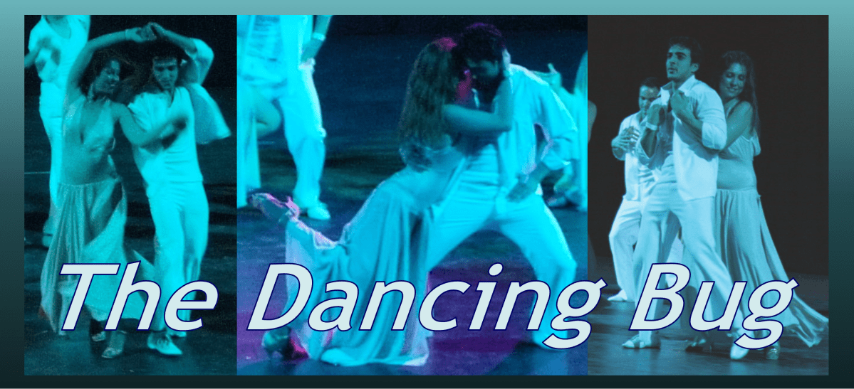 The Dancing Bug’s Favourites – taniacreations.com